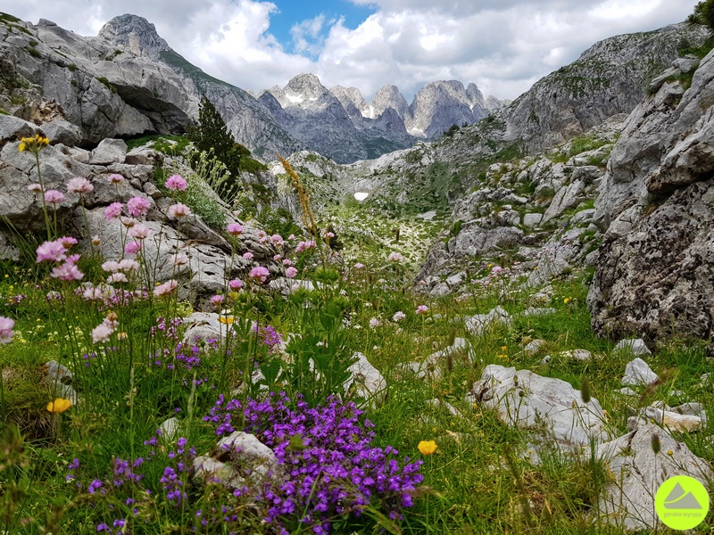 Przełęcz Peja (Qafa e Pejës) w Górach Północnoalbańskich. Północne ...